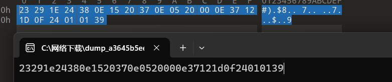 2024年CISCN&长城杯初赛wp | viol1t